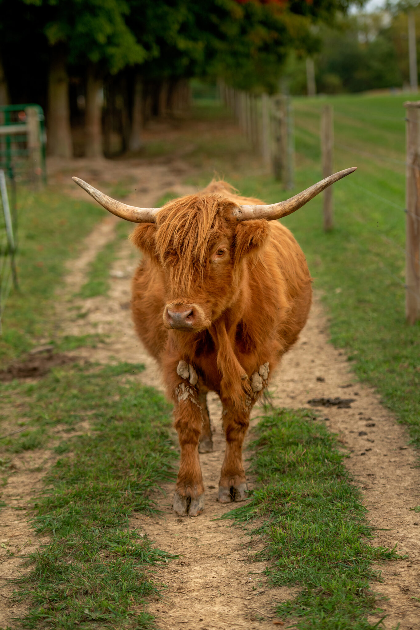 A Day With a WWE Wrestler Sara Rowe | picturesbygg.com
